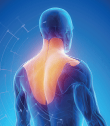 Home - orthomedtradingllc